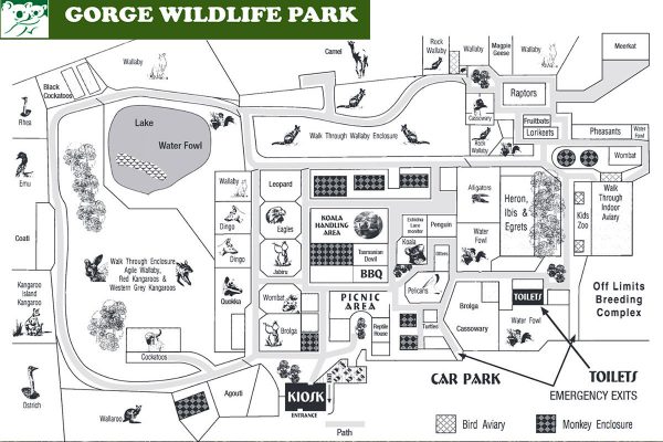 Adelaide - Koalas stop at Gorge Wildlife Park (Australia)