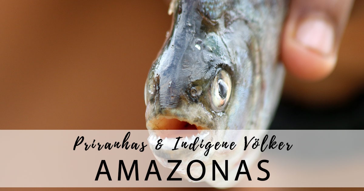 Amazon River - Piranha Fishing & Indigenous Village (Brazil)