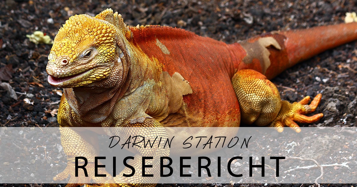 Die Charles Darwin Station & die Insel Isabella (Galapagos)