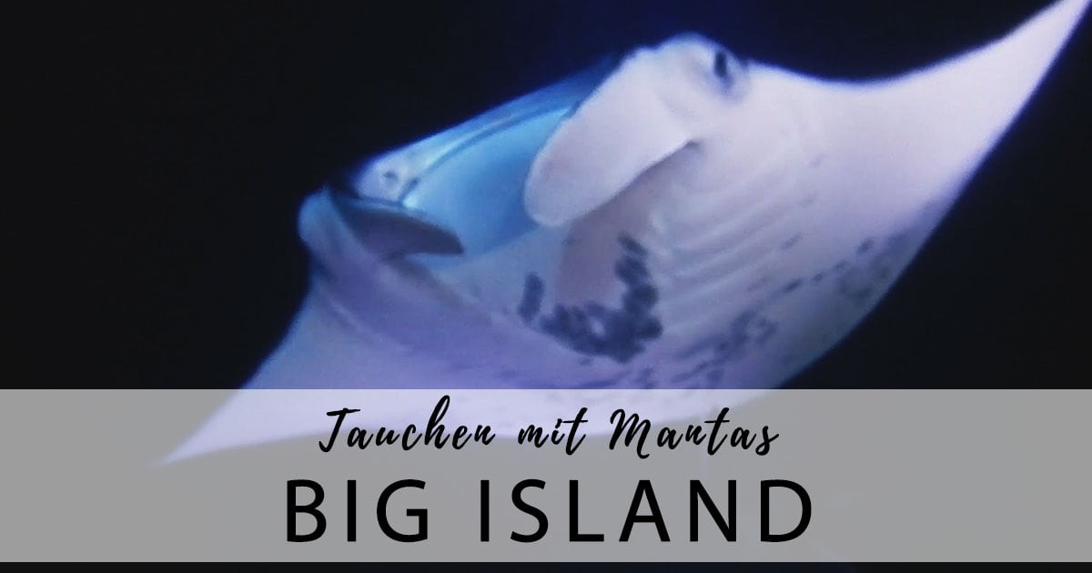 Big Island - An Island Tour & Night Diving with Mantas (USA)