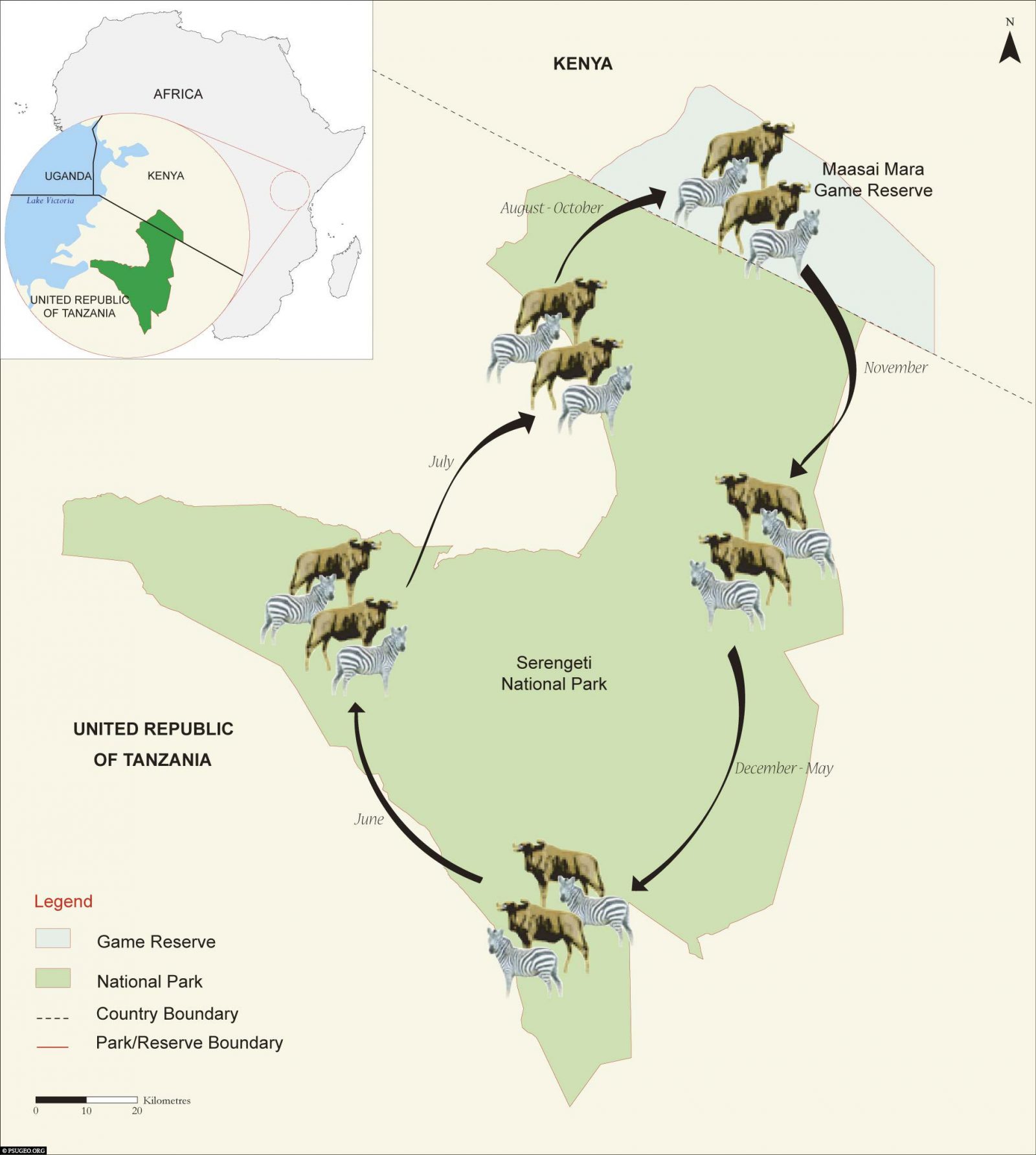 Safari - Serengeti National Park, UNESCO World Heritage Site (Tanzania)