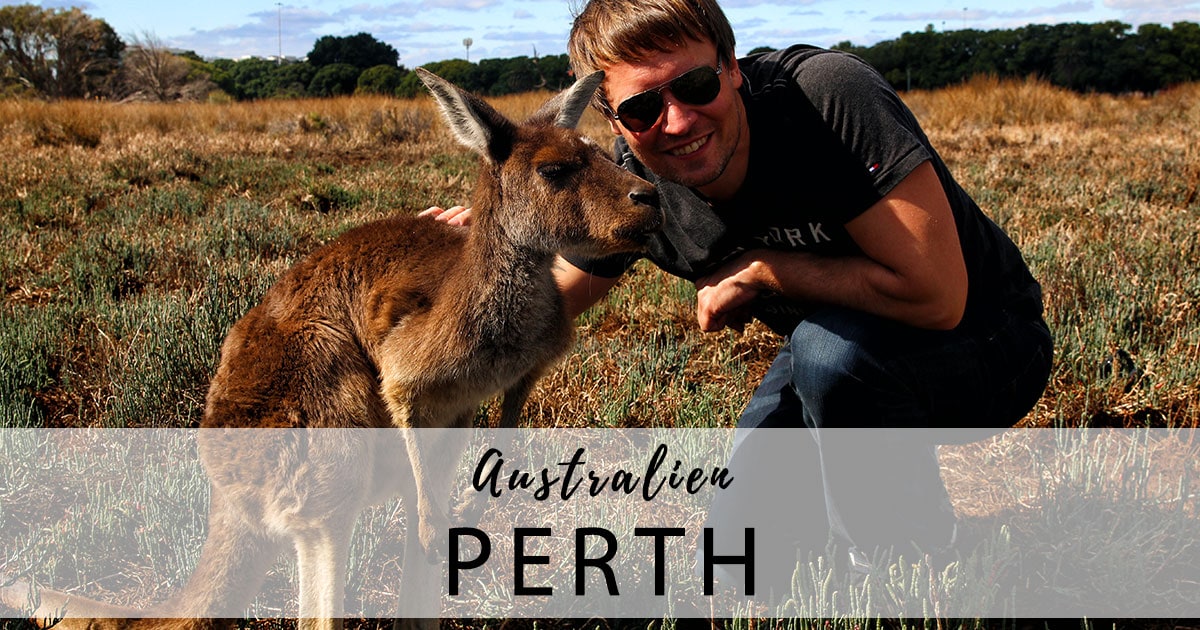 Perth - Tourist Attractions & Kangaroos on Heirisson Island (Australia)