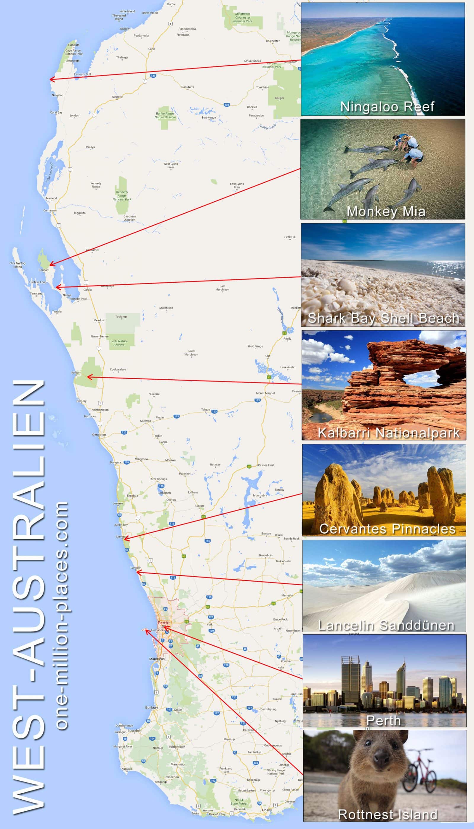 Perth - Tourist Attractions & Kangaroos on Heirisson Island (Australia)