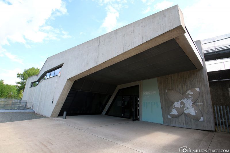 The Messel Pit Fossil Site - A window into prehistory (Germany)