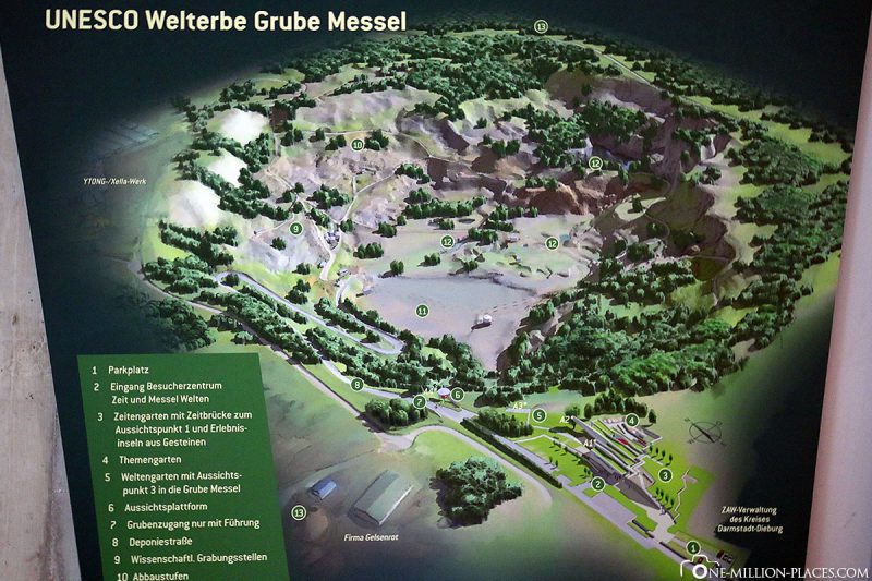 The Messel Pit Fossil Site - A window into prehistory (Germany)