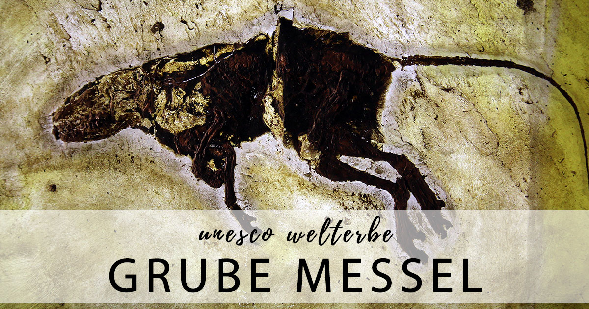 The Messel Pit Fossil Site - A window into prehistory (Germany)