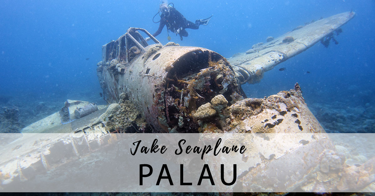 Diving at the plane wreck Jake Seaplane (Travel report Palau)