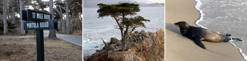 17-Mile Drive - Travel Guide, Things to Do & beautiful photo spots (USA)
