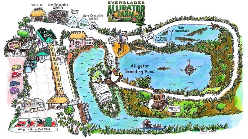 Everglades Alligator Farm - An Airboat Tour in South Florida (USA)
