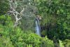 Black River Gorges National Park & Grand Bassin (Mauritius)