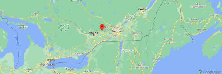 The Parc Omega - A Drive-Through Safari in Canada