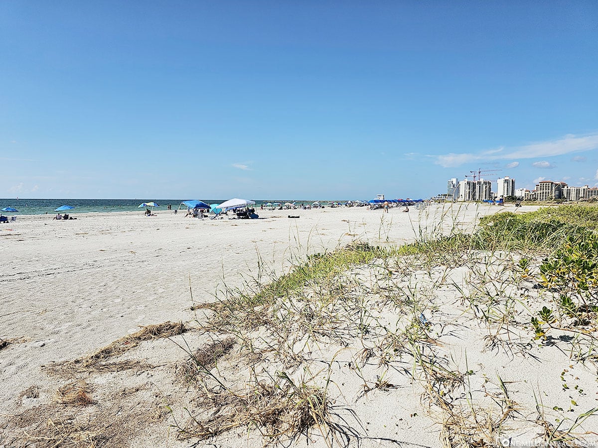 Sand Key Park - Foto: Sand Key Park Florida 03