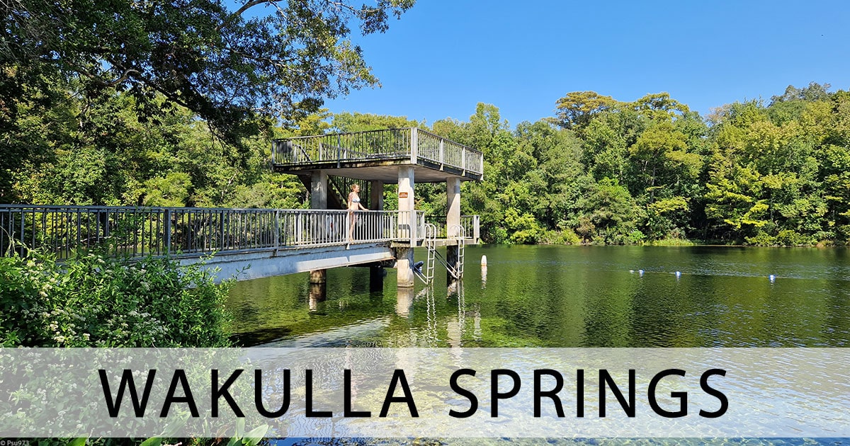 Wakulla Springs - State Park, River Cruise & Manatees (USA)