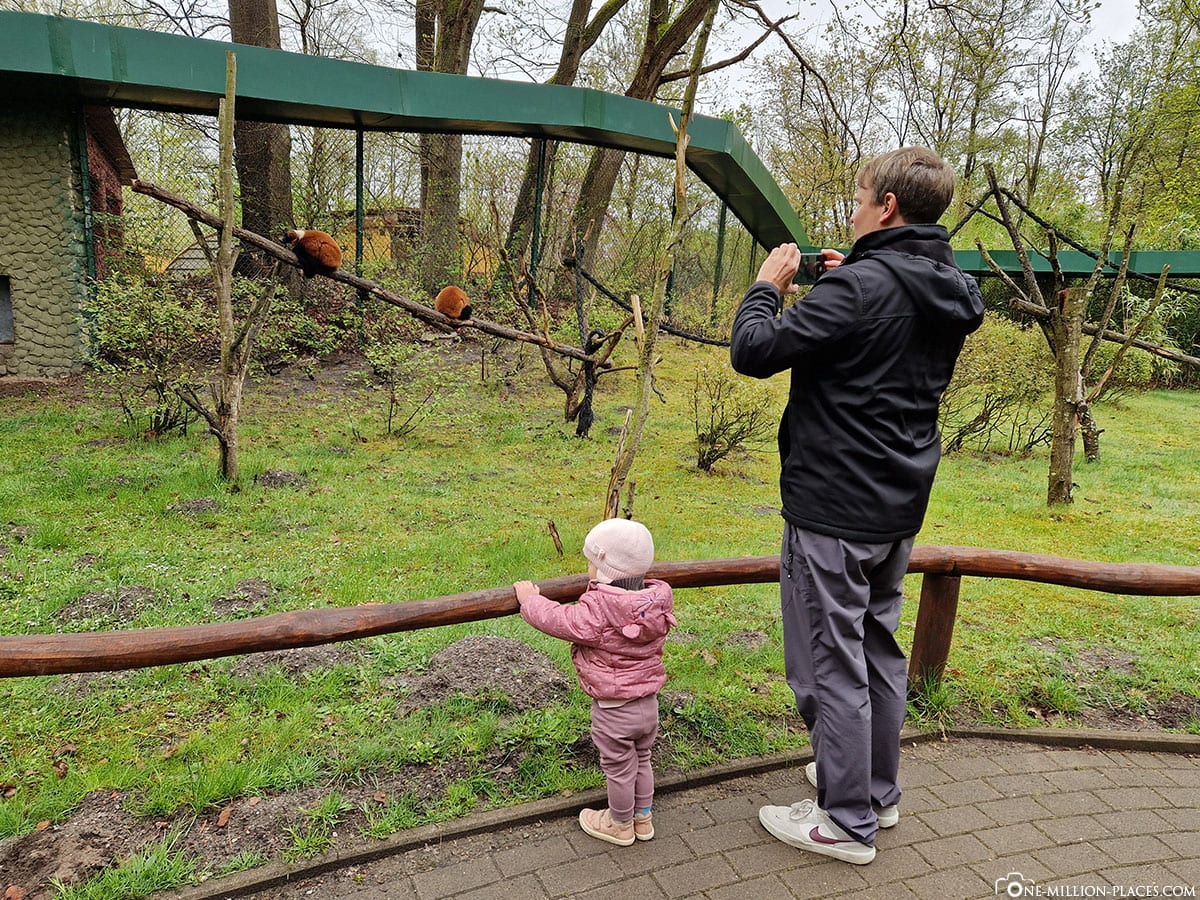 Affengehege - Foto: serengeti-park-hodenhagen-affen-01