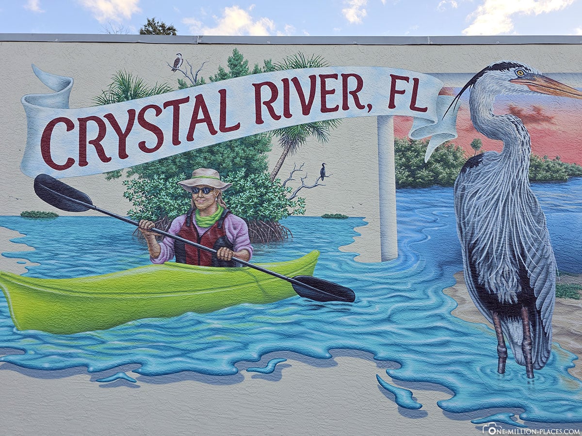 Crystal River, Florida: Experience manatees & the most beautiful spots