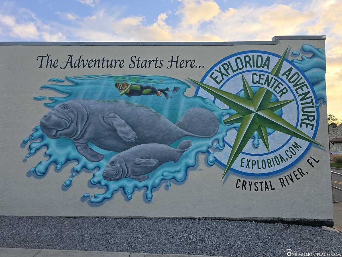 Crystal River, Florida: Experience manatees & the most beautiful spots