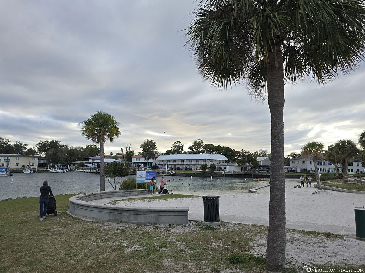 Crystal River, Florida: Experience manatees & the most beautiful spots
