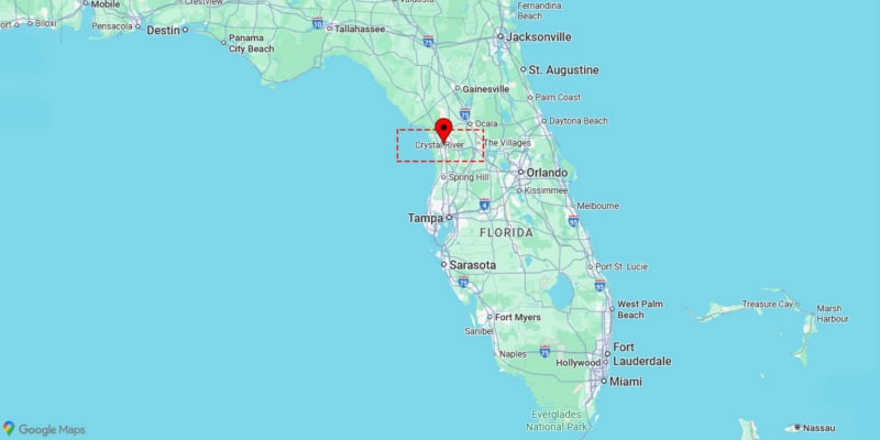 Crystal River, Florida: Experience manatees & the most beautiful spots